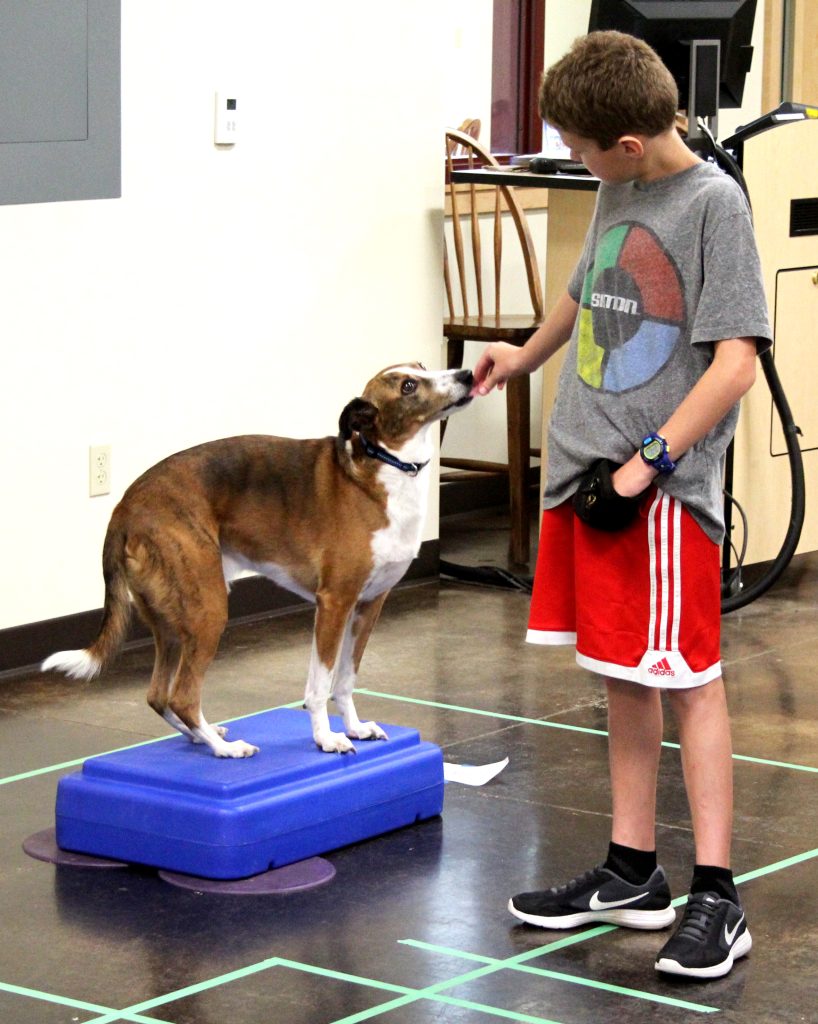 OSU Dog Training Program Helps Kids with Disabilities Get Physically ...