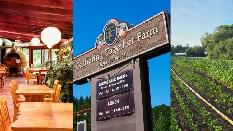 After Four Decades, Gathering Together Farm is for Sale - The Corvallis ...